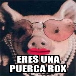 Meme Personalizado - ERES UNA PUERCA ROX - 31068769