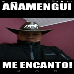 Meme Personalizado - AÃ±amengui Me encanto! - 31069756