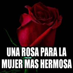 Meme Personalizado - una rosa para la mujer mas hermosa - 31610057
