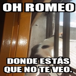 Meme Personalizado - Oh romeo Donde estÃ¡s que no te veo. - 31610315