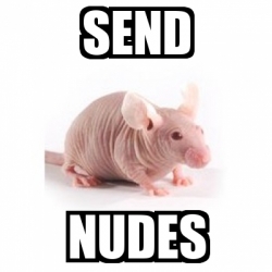 Meme Personalizado - SEND NUDES - 31613708