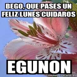 Meme Personalizado - Bego, que pases un feliz lunes cuidaros - 31616843