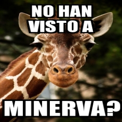 Meme Personalizado - No han visto a Minerva? - 31622317