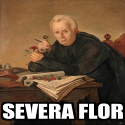 Meme Personalizado - SEVERA FLOR - 31630377