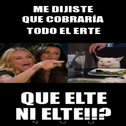 Meme Personalizado - Me dijiste que cobrarÃ­a todo el erte Que elte ni ...