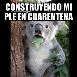 Meme Koala - Construyendo mi PLE en cuarentena - 31638274
