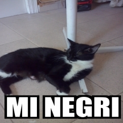Meme Personalizado - mi negri - 31644455