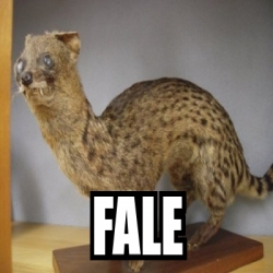 Meme Personalizado - fale - 31644537