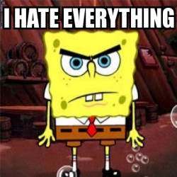 Meme Personalizado - I HATE EVERYTHING - 31651354
