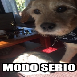 Meme Personalizado - Modo serio - 31651926