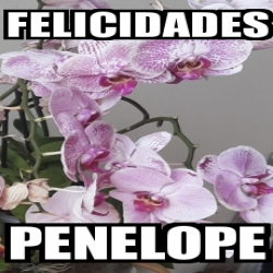 Meme Personalizado - FELICIDADES Penelope - 31653877