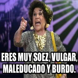 Meme Personalizado - Eres muy soez, vulgar, maleducado y burdo. - 31653894