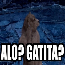Meme Personalizado - Alo? Gatita? - 31655162