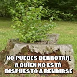 Meme Personalizado - No puedes derrotar, a quien no estÃ¡ dispuesto a ...