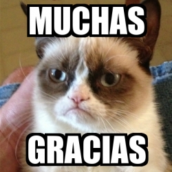 Meme Grumpy Cat - MUCHAS GRACIAS - 31657666