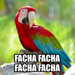 Meme Personalizado - Facha Facha Facha Facha - 31659353