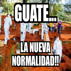 Meme Personalizado - Guate... La nueva normalidad!! - 31664077