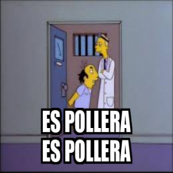 Meme Personalizado - Es pollera es pollera - 31664512