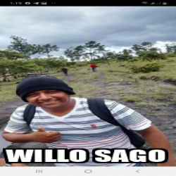 Meme Personalizado - Willo sago - 31668891