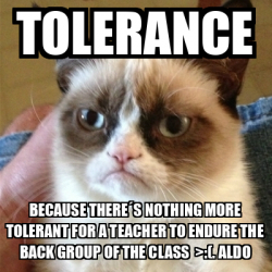 Meme Grumpy Cat - TOLERANCE Because there´s nothing more tolerant for a ...
