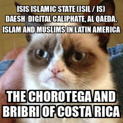 Meme Grumpy Cat - ISIS Islamic State (ISIL / IS) Daesh Digital Caliphate, Al Qaeda, Islam and ...