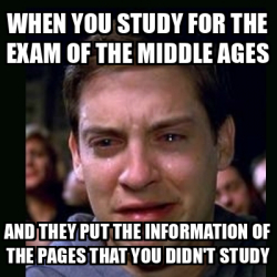 Meme crying peter parker - When you study for the exam of the middle ...