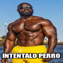 Meme Personalizado - intentalo perro - 31676937
