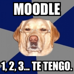 Meme Perro Racista - MOODLE 1, 2, 3... te tengo. - 31682996