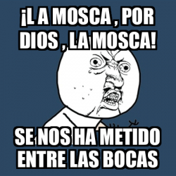 Meme Y U No - ¡L A MOSCA , POR DIOS , LA MOSCA! SE NOS HA METIDO ENTRE ...
