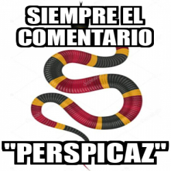Meme Personalizado - Siempre el comentario "perspicaz" - 31686809