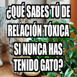 Meme Personalizado - ¿Qué sabes tú de relación tóxica si nunca has ...