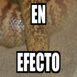 Meme Personalizado - EN Efecto - 31688060