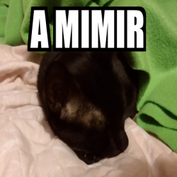 Meme Personalizado - A MIMIR - 31689806