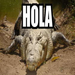 Meme Personalizado - Hola - 31691366