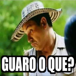Meme Personalizado - Guaro o que? - 31691442