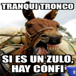 Meme Personalizado - Tranqui tronco Si es un zulo, Hay confi - 31692620