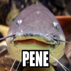 Meme Personalizado - Pene - 31693739