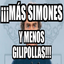 Meme Personalizado - ¡¡¡MÁS SIMONES Y MENOS GILIPOLLAS!!! - 31694639