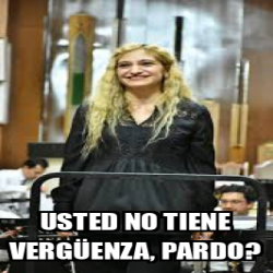 Meme Personalizado - USTED NO TIENE VERGÜENZA, PARDO? - 31696016