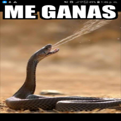 Meme Personalizado - Me ganas - 31697952