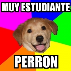 Meme Advice Dog - MUY ESTUDIANTE PERRON - 31078294