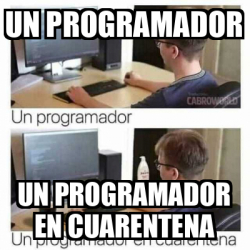 Meme Personalizado - un programador un programador en cuarentena - 31703960