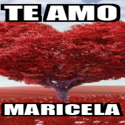Meme Personalizado - Te amo Maricela - 31704023