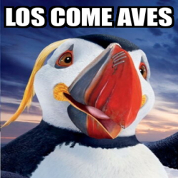 Meme Personalizado - los come aves - 31706743