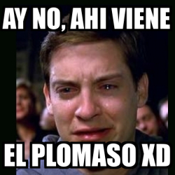 Meme crying peter parker - Ay no, ahi viene El plomaso xd - 31714949