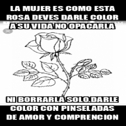 Meme Personalizado - la mujer es como esta rosa deves darle color a su ...