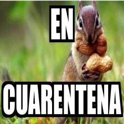 Meme Personalizado - en cuarentena - 31728170