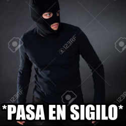 Meme Personalizado - *pasa en sigilo* - 31731417