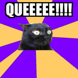 Meme Anxiety Cat - Queeeee!!!! - 31732223