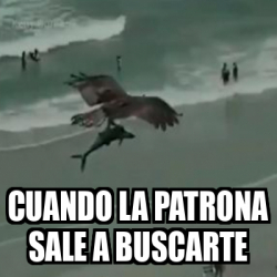 Meme Personalizado - Cuando la patrona sale a buscarte - 31735081